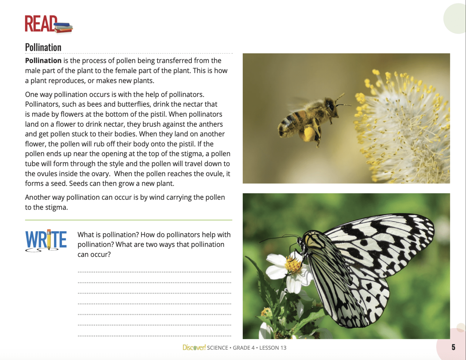 Discover! Curriculum – Engaging Homeschool Learning for Grades 1-8