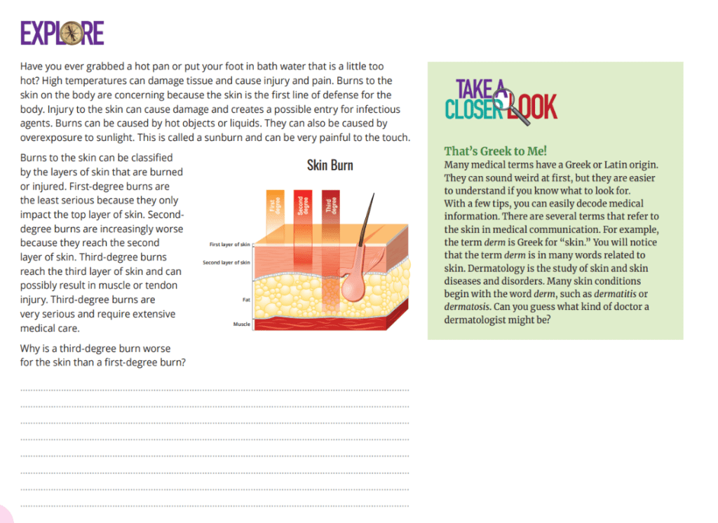 Discover! Curriculum – Engaging Homeschool Learning for Grades 1-8