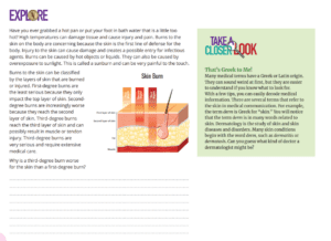 Discover! Curriculum – Engaging Homeschool Learning for Grades 1-8